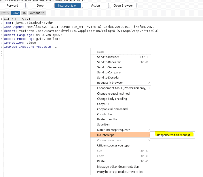 Upload Vulnerabilities On Tryhackme The Dutch Hacker